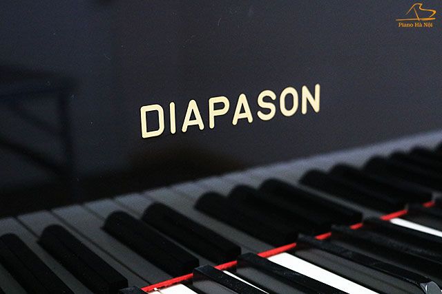 Piano Diapason D171BG – Piano Hà Nội