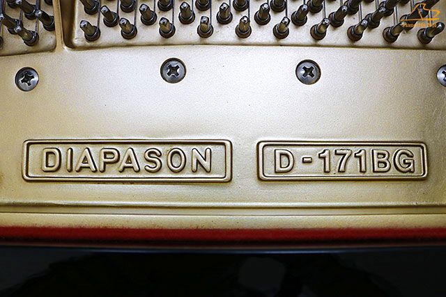 Piano Diapason D171BG – Piano Hà Nội