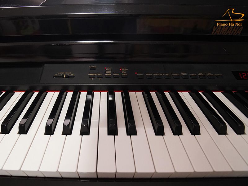Piano Yamaha CLP 555 – Piano Hà Nội