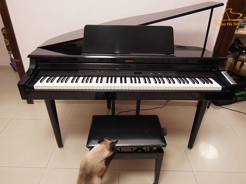 Piano Yamaha CLP 555 – Piano Hà Nội