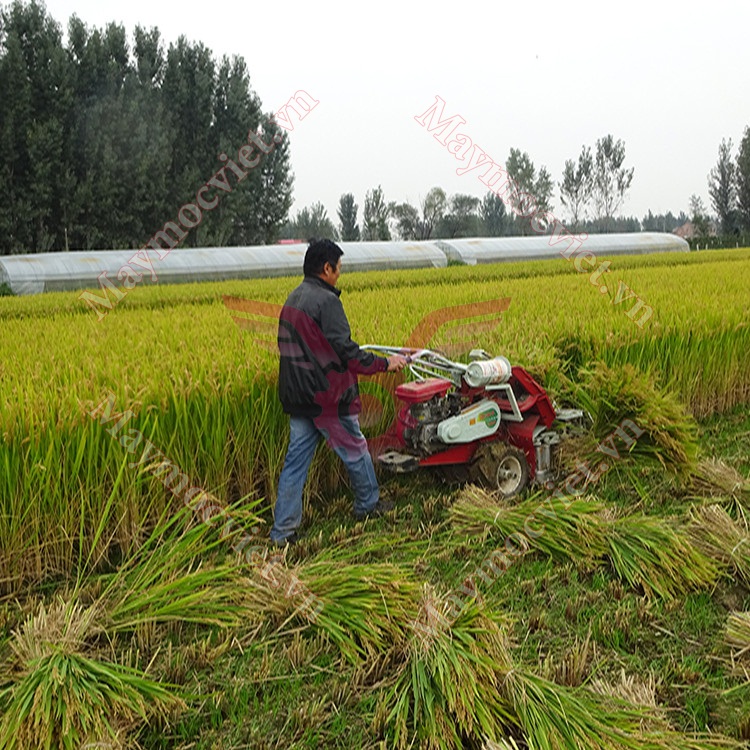 Máy gặt lúa xếp dãy tự bó mini VM 4K50 – Vinmax- maymocviet.vn