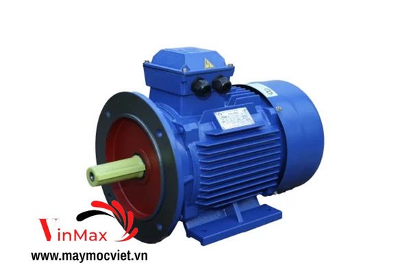 Motor, Động cơ điện Toàn Phát 3 pha 30kw (40hp) – Vinmax- maymocviet.vn