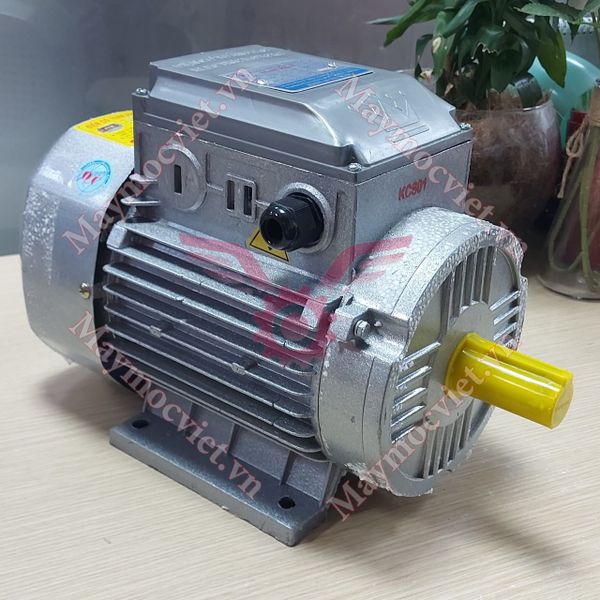 Động Cơ Điện Motor Toàn Phát 1.5 HP - 1.1 KW – Vinmax- maymocviet.vn