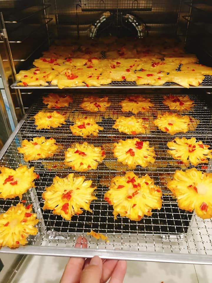 Máy sấy hoa quả Koresta 6 khay điều khiển cơ KR6 – Vinmax- maymocviet.vn