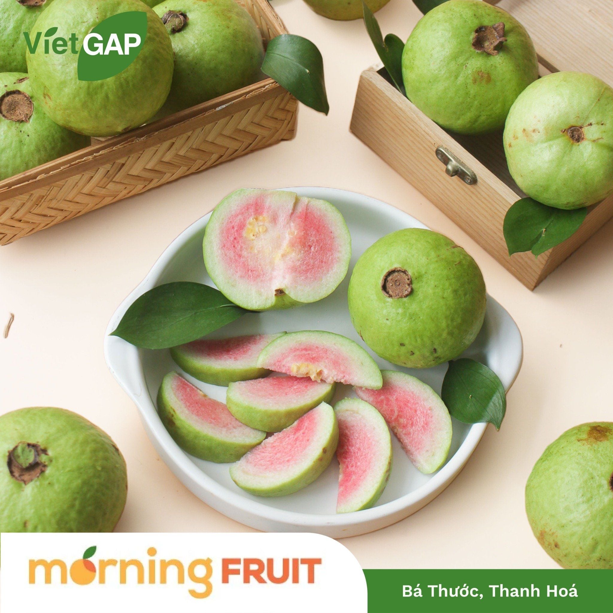 Ổi Ruby – Morning Fruit - Trái Cây Chất Lượng Cao