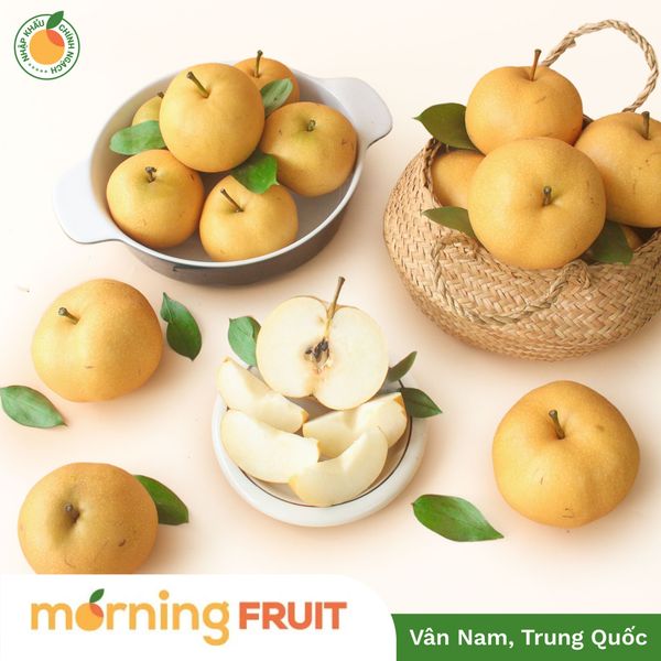 Lê Nâu giống Nhật – Morning Fruit - Trái Cây Chất Lượng Cao
