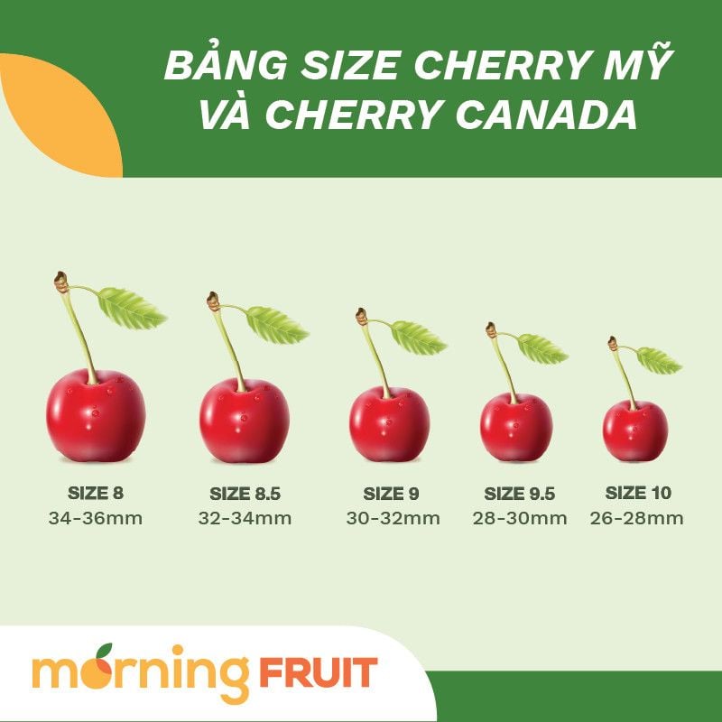 Cherry Mỹ size 10 – Morning Fruit - Trái Cây Chất Lượng Cao