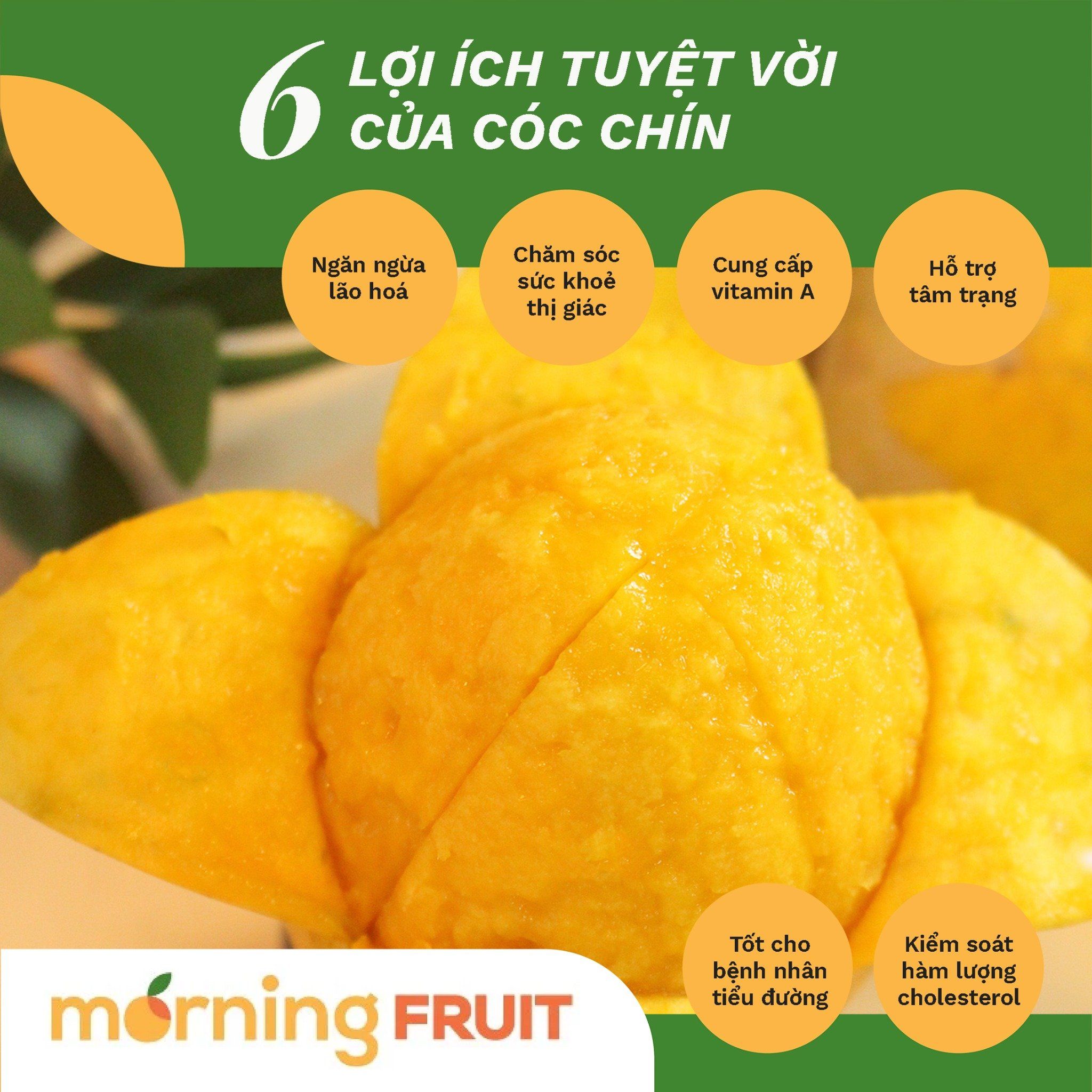 Cóc chín – Morning Fruit - Trái Cây Chất Lượng Cao