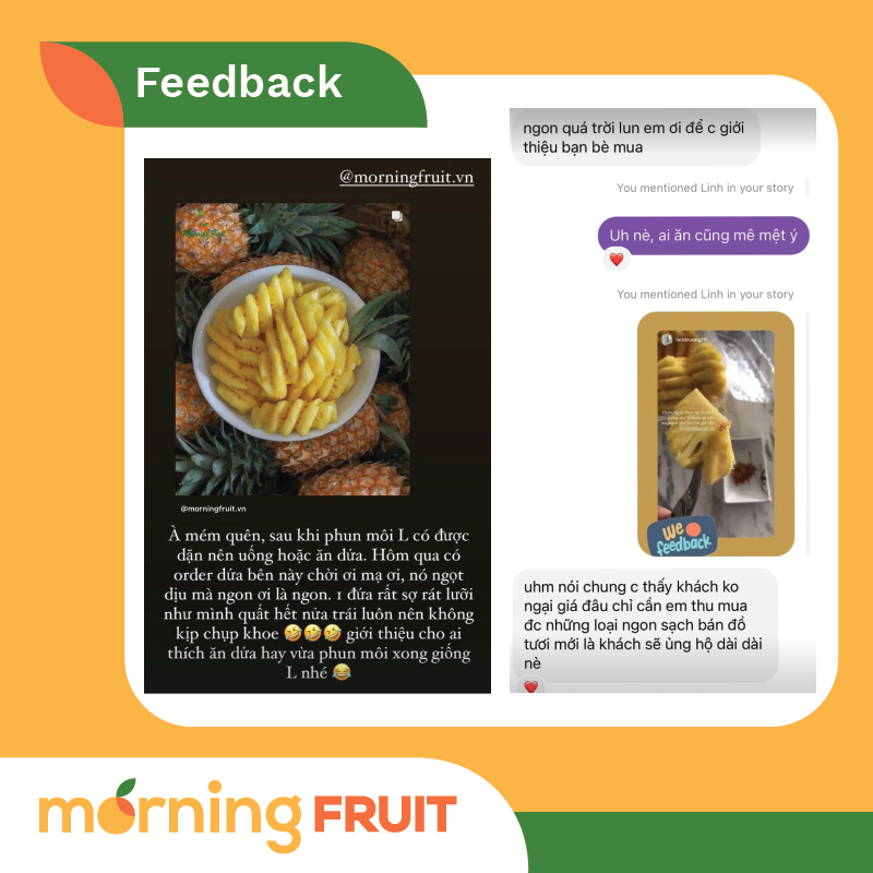 Dứa Queen – Morning Fruit - Trái Cây Chất Lượng Cao