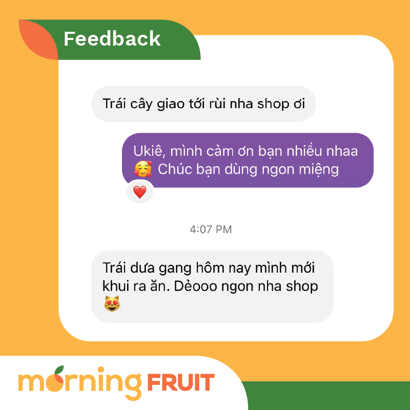 Dưa gang Tiền Giang – Morning Fruit - Trái Cây Chất Lượng Cao