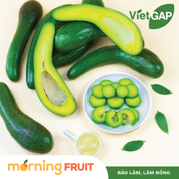Bơ 034 Lâm Đồng ngon, béo bùi, giá tốt tại TP.HCM – Morning Fruit ...