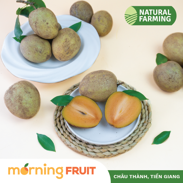 Sapoche – Morning Fruit - Trái Cây Chất Lượng Cao
