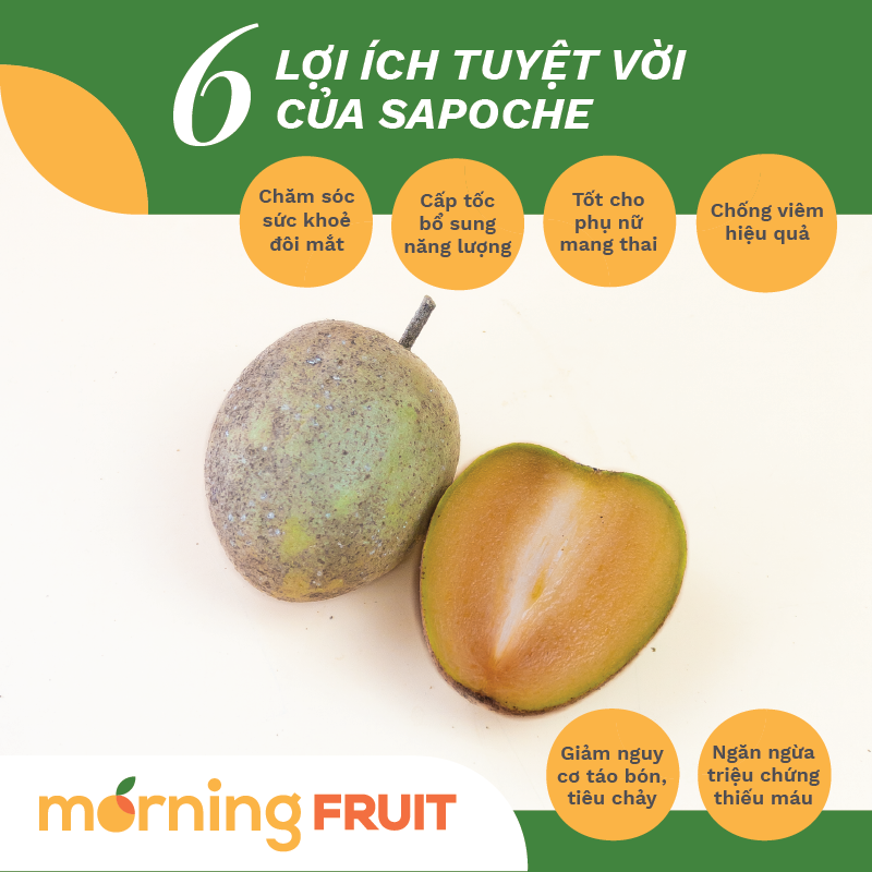 Sapoche – Morning Fruit - Trái Cây Chất Lượng Cao