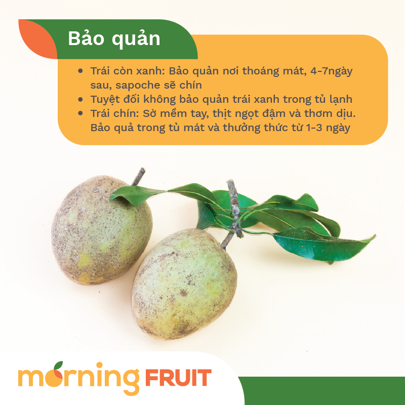 Sapoche – Morning Fruit - Trái Cây Chất Lượng Cao