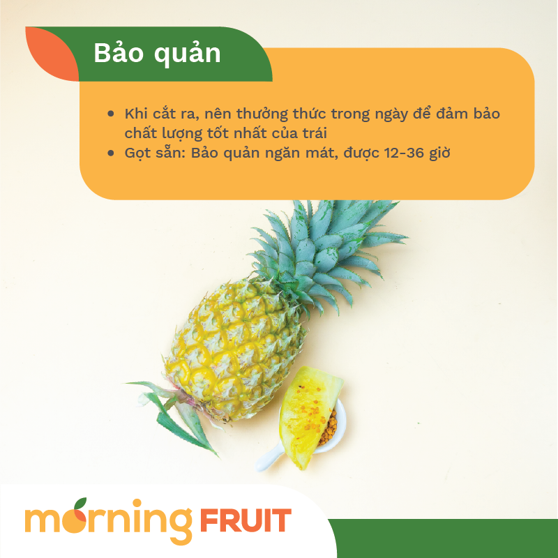 Dứa Queen – Morning Fruit - Trái Cây Chất Lượng Cao