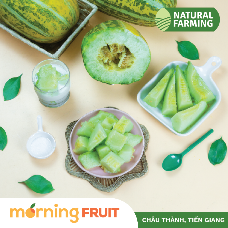 Dưa gang Tiền Giang – Morning Fruit - Trái Cây Chất Lượng Cao
