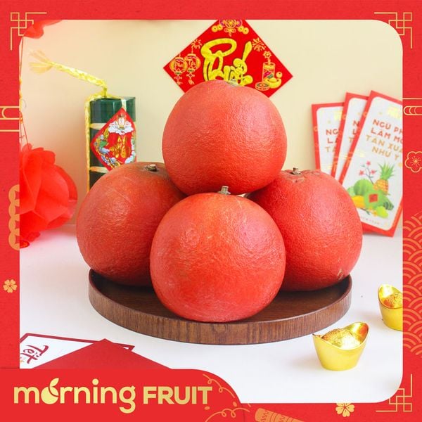 Bưởi Nhung Tiến Vua (size nhỏ) – Morning Fruit - Trái Cây Chất Lượng Cao