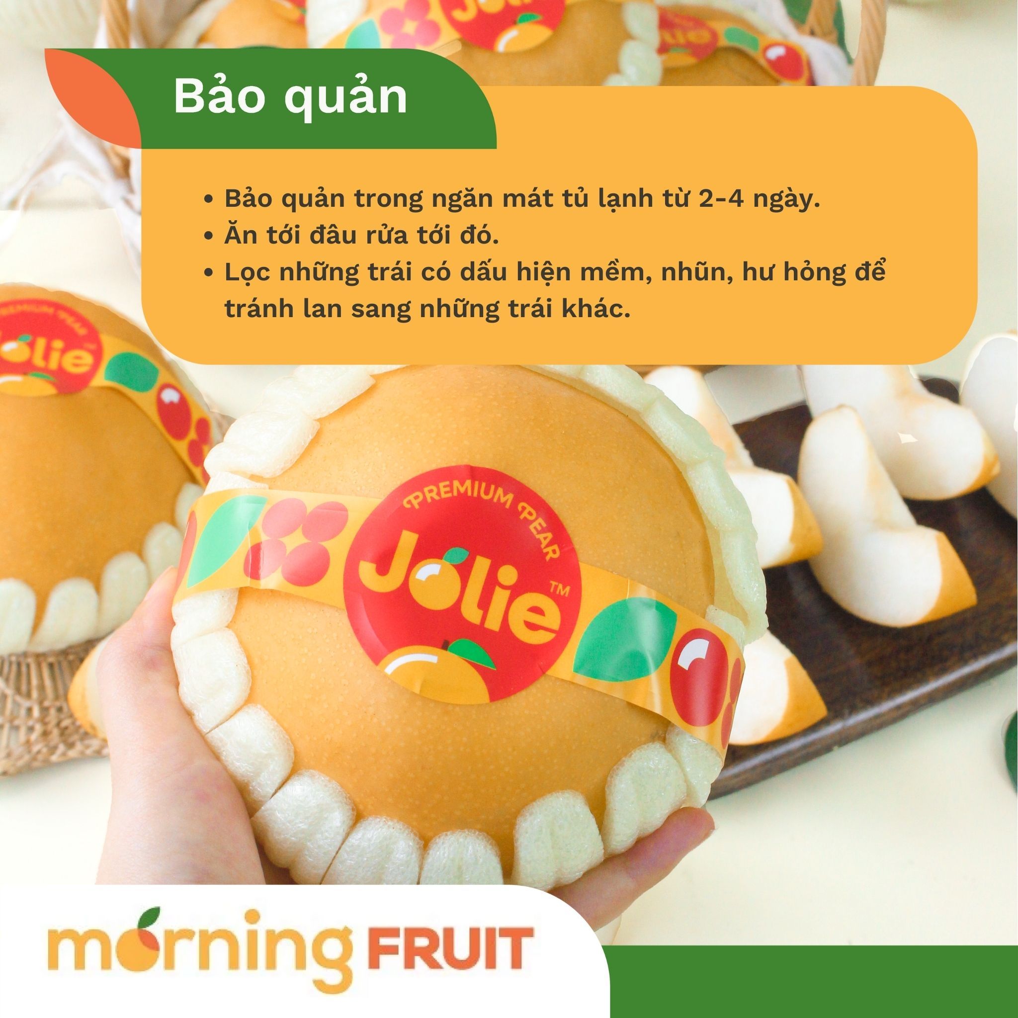 Lê Singo Nội địa Trung – Morning Fruit - Trái Cây Chất Lượng Cao