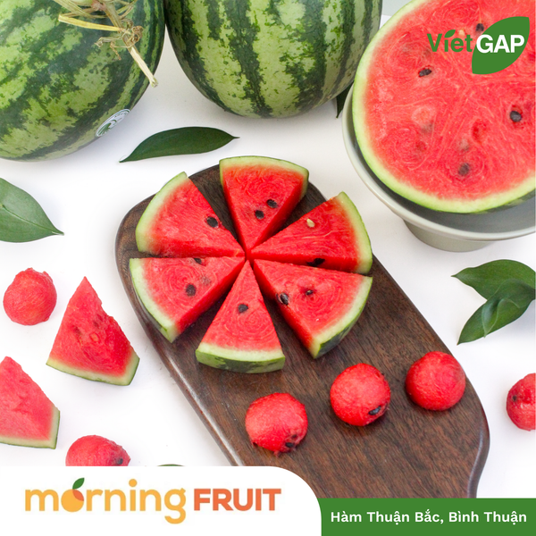 Dưa hấu táo – Morning Fruit - Trái Cây Chất Lượng Cao