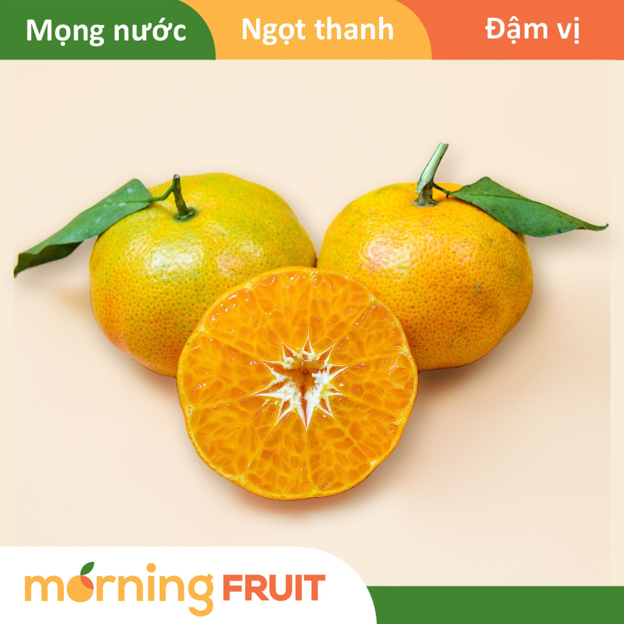 Cam canh Mộc Châu – Morning Fruit - Trái Cây Chất Lượng Cao