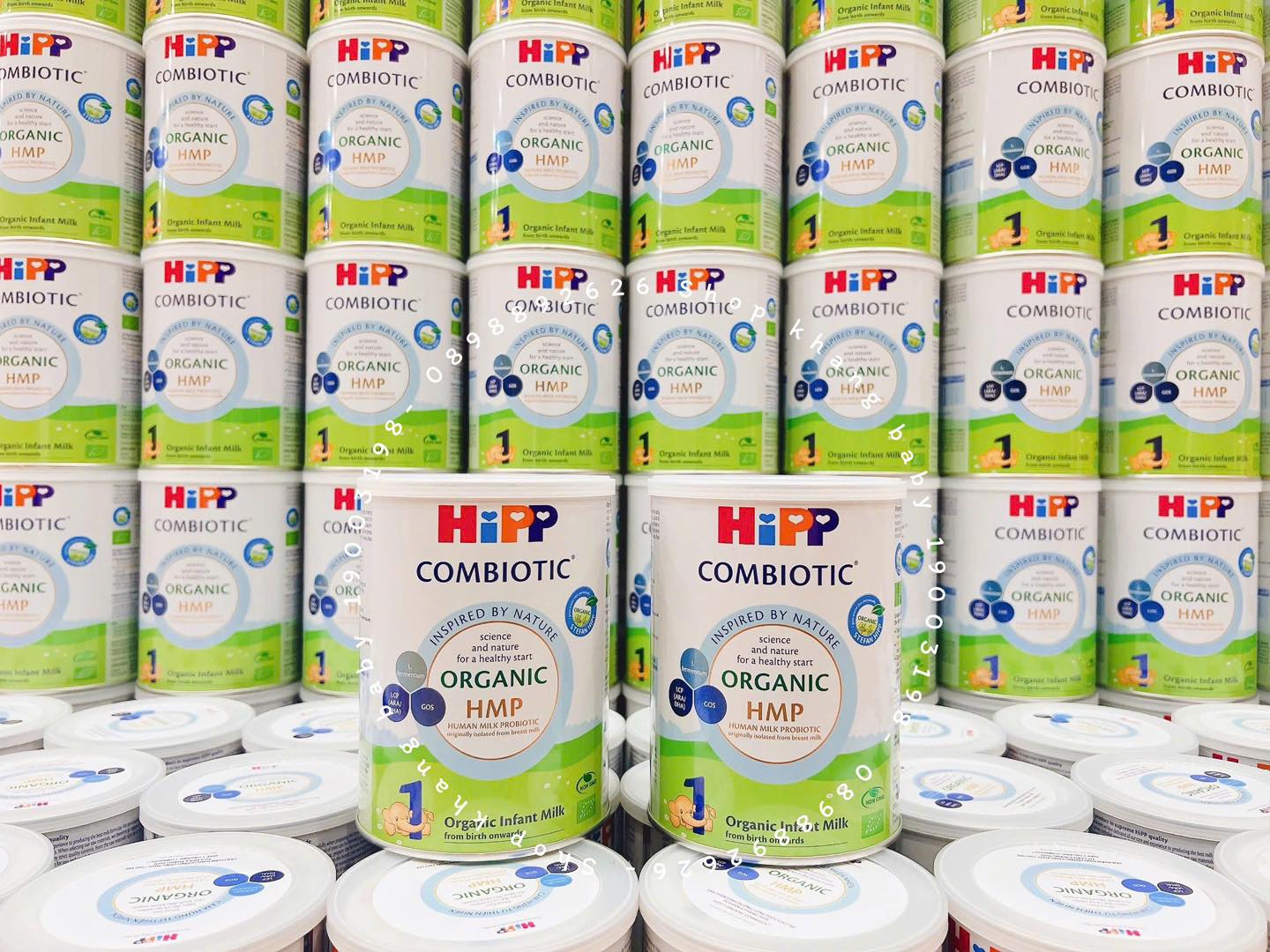 Sữa HiPP Organic Combiotic – Shop KHANG BABY