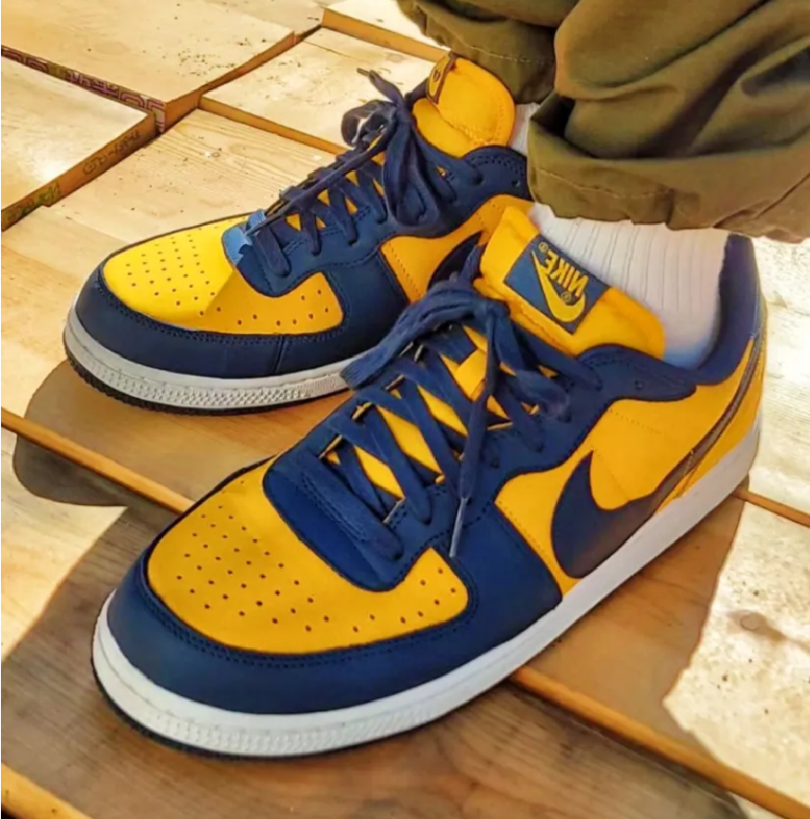 Giày Nike Terminator Low 'University Gold and Navy' FJ4206-700 – Hệ ...