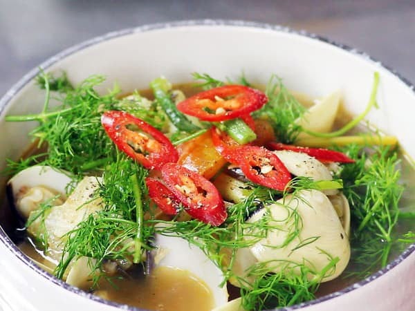 Cây thì là thân gỗ có ăn được không? – MỘC NHIÊN FARM