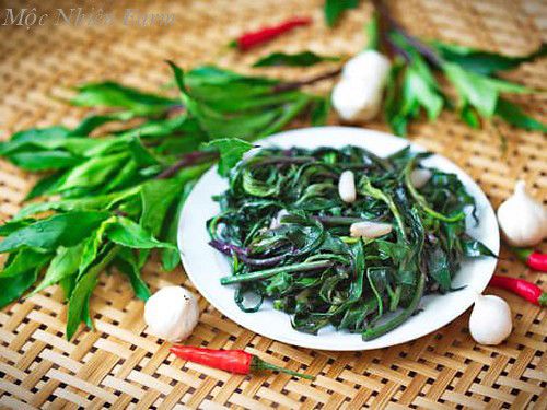 Rau bầu đất tím siêu ngon siêu dễ trồng – MỘC NHIÊN FARM