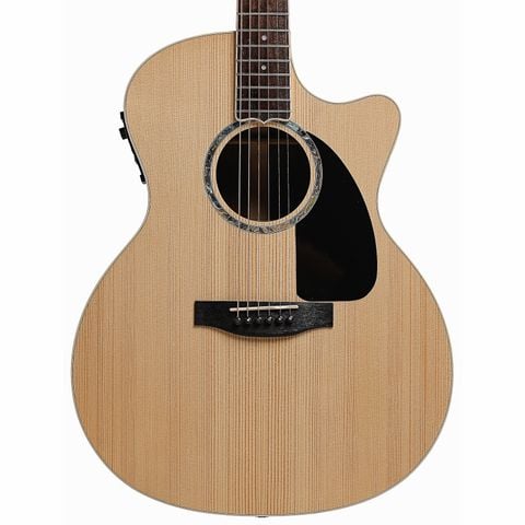 Guitar Acoustic – Guitar Plus