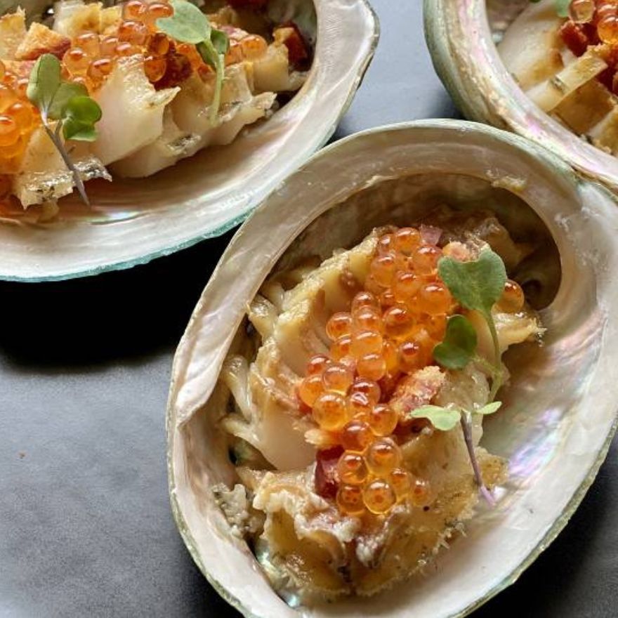 Frozen AUS Jade Tiger Abalone | Bào Ngưích Hổ Úc – PGF ASIA