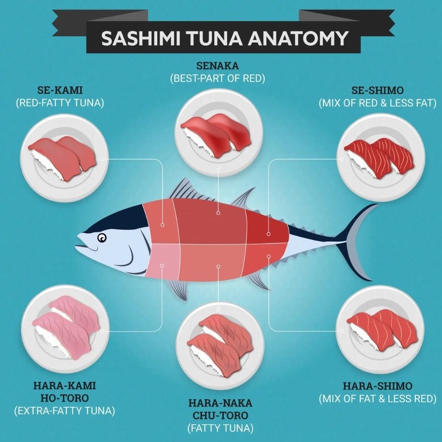 Akami | Blue Fin Tuna | Thăn cá ngừ vây xanh Nhật bản – PGF ASIA