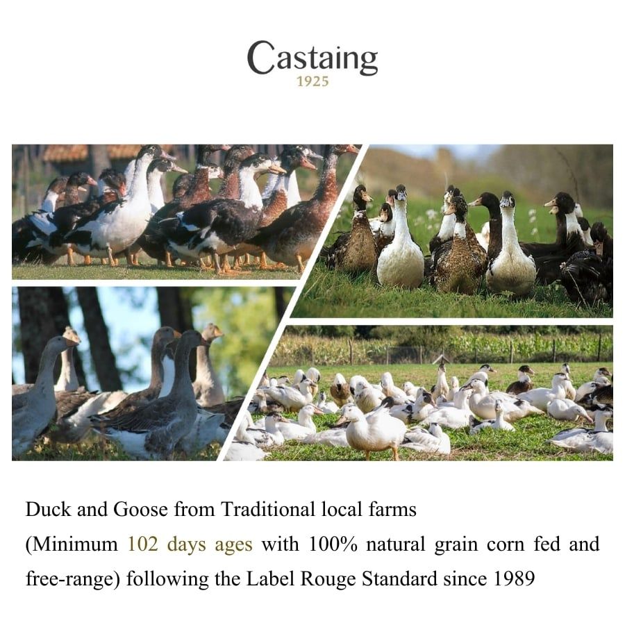 FOIE GRAS CASTAING WHOLE EXTRA GASTRONOMIE – PGF ASIA