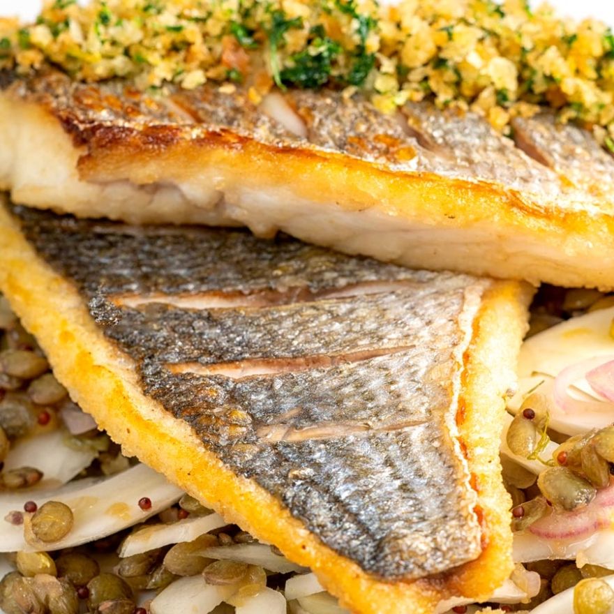 Madai fresh | Sea Bream | Cá tráp đỏ tươi Nhật Bản – PGF ASIA