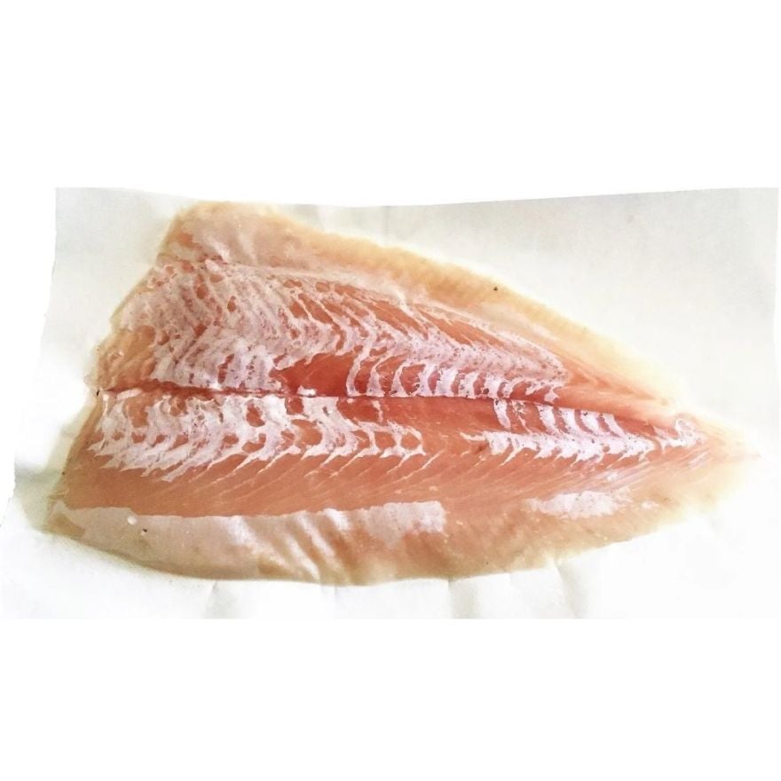 Madai fresh | Sea Bream | Cá tráp đỏ tươi Nhật Bản – PGF ASIA