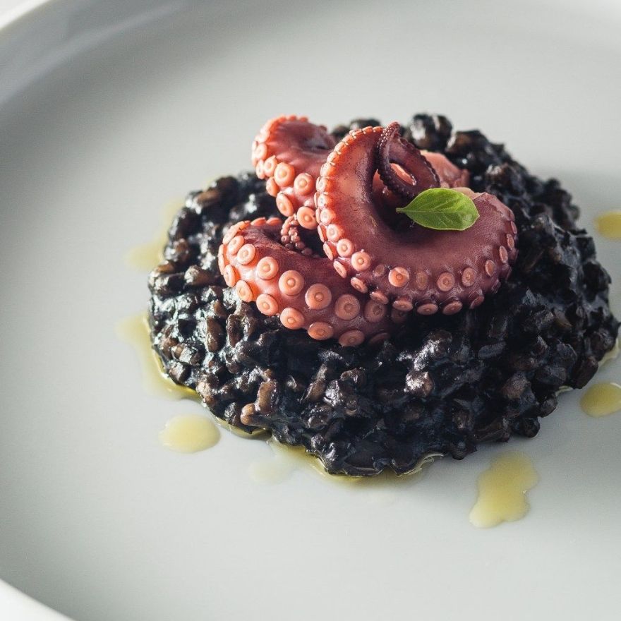 Frozen Octopus Leg | Râu Bạch Tuộc Tako Việt Nam – PGF ASIA