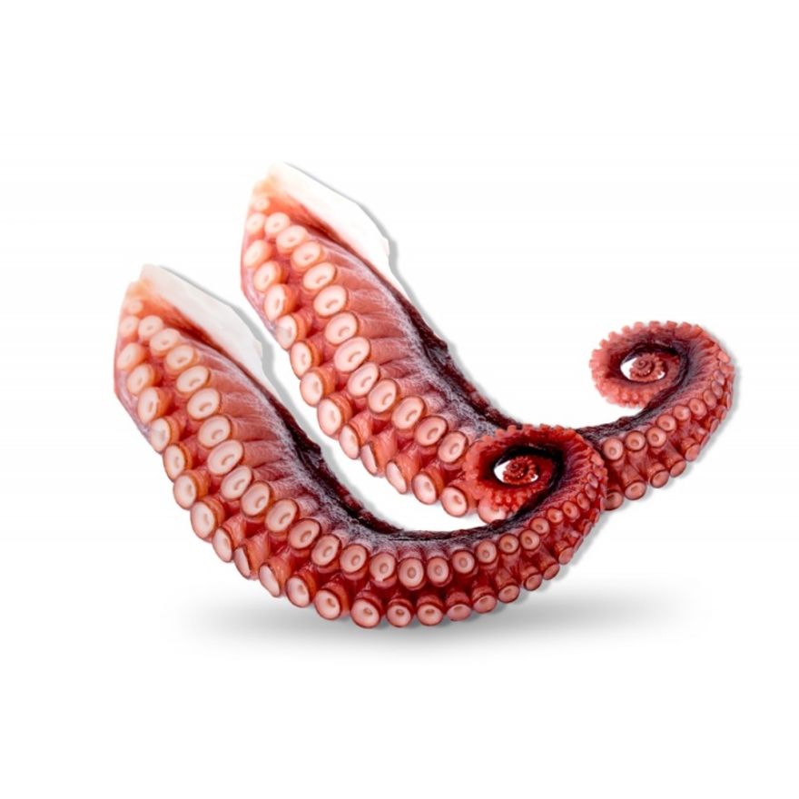 Frozen Octopus Leg | Râu Bạch Tuộc Tako Việt Nam – PGF ASIA