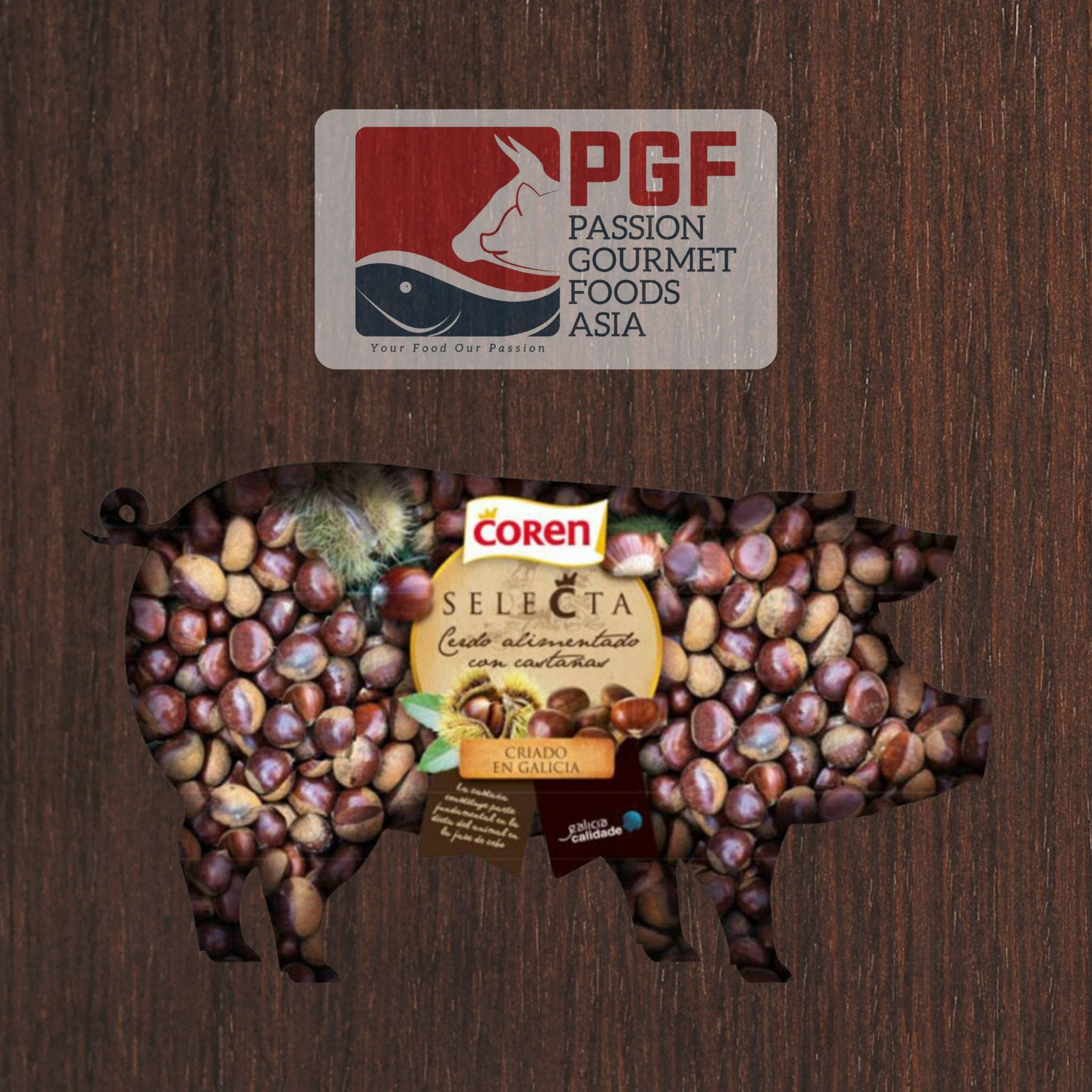 Selecta pork chestnut fed Pork chop dry aged 3-4weeks – PGF ASIA