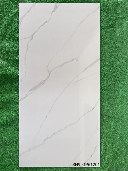 60*120 SH12_GP61201 Gạch ốp lát cao cấp Viglacera – dnacorp