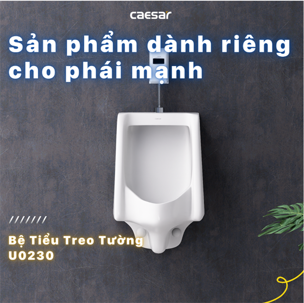 Bồn tiểu nam Caesar U0230 – dnacorp