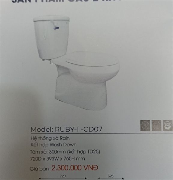 RuBy1-CD07 cầu 2 khối thiên thanh – dnacorp