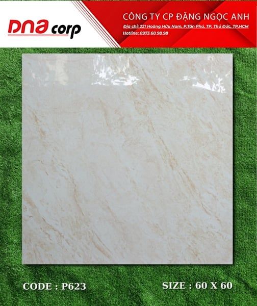 Gạch lát nền 60*60 Prime P623 – dnacorp