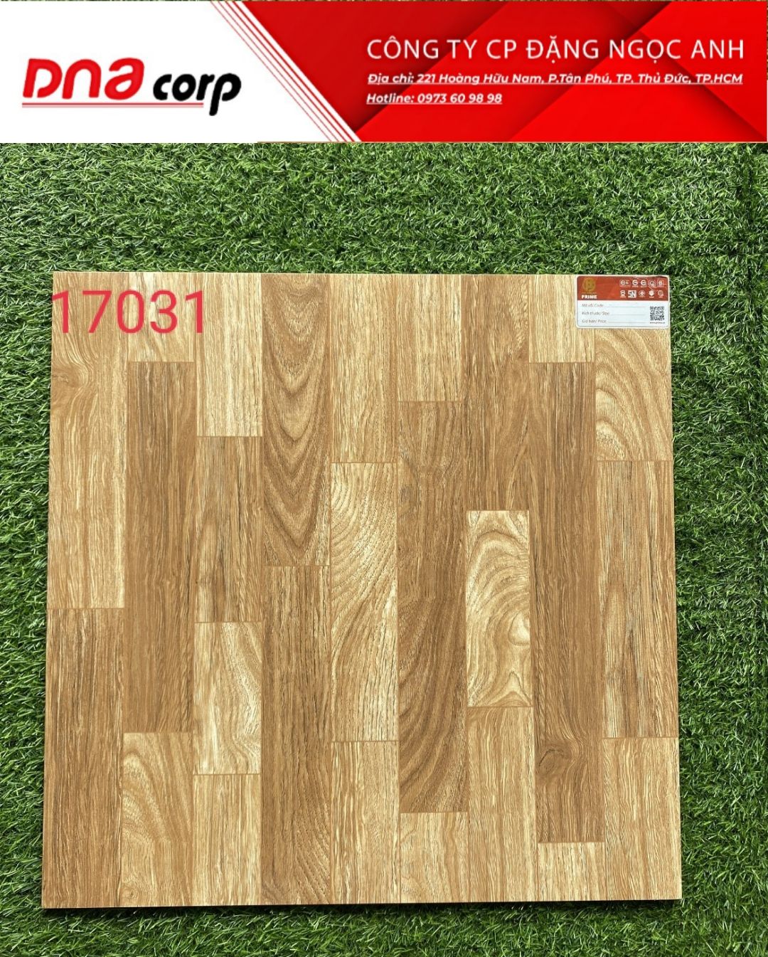 Gạch lát nền 60*60 17031 – dnacorp