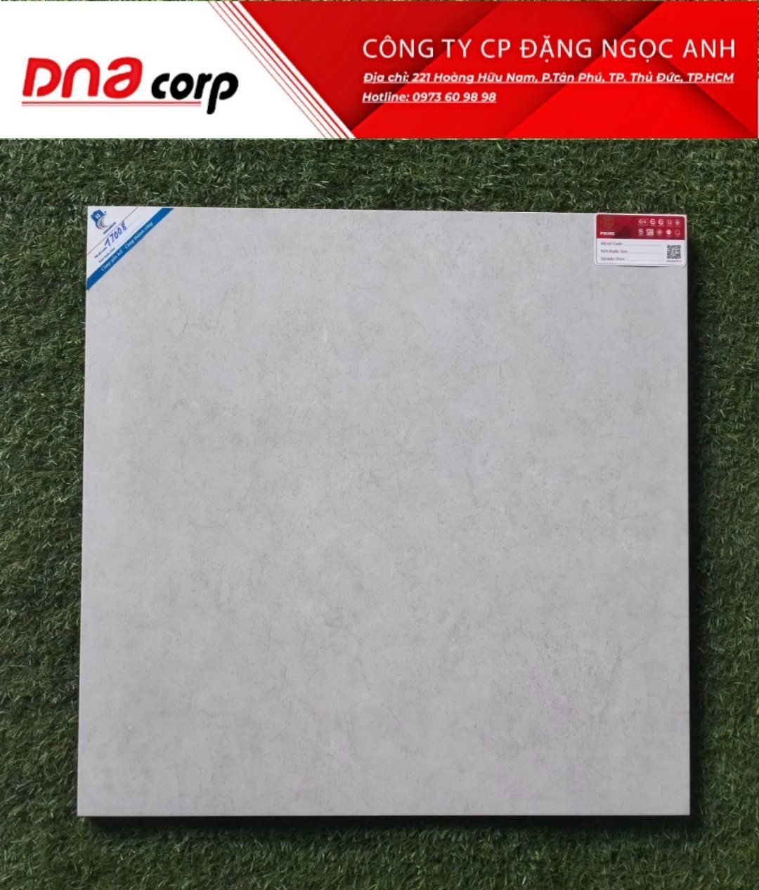 Gạch lát nền 60*60 17008 – dnacorp