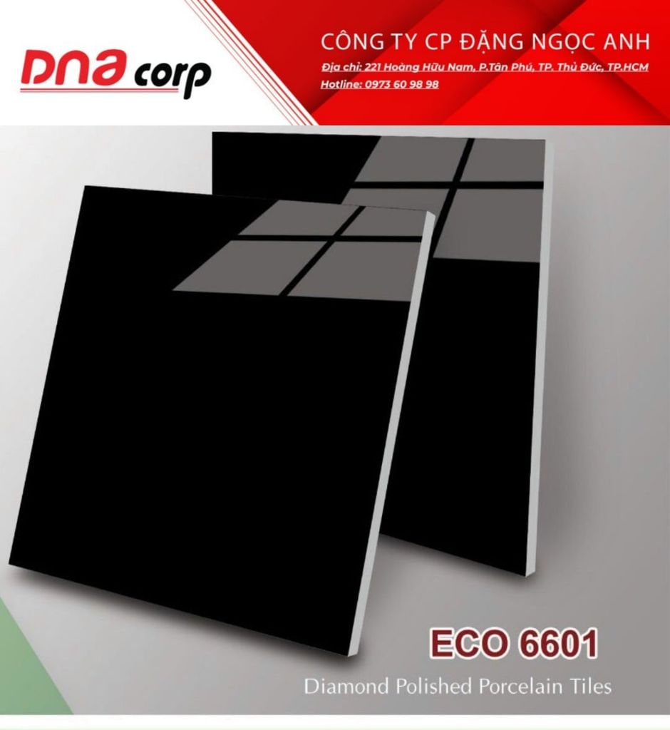 Gạch ECO 6601 – dnacorp