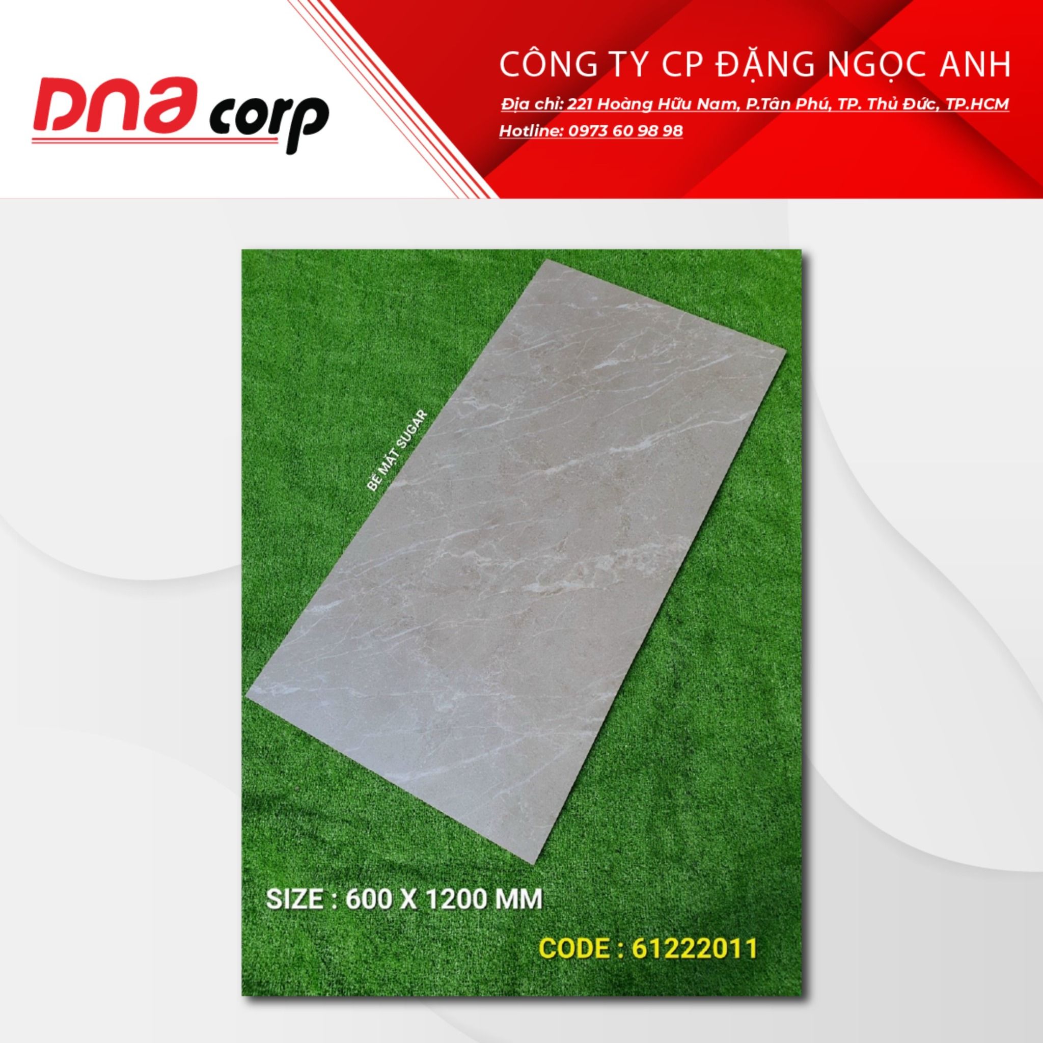 61222011 – dnacorp