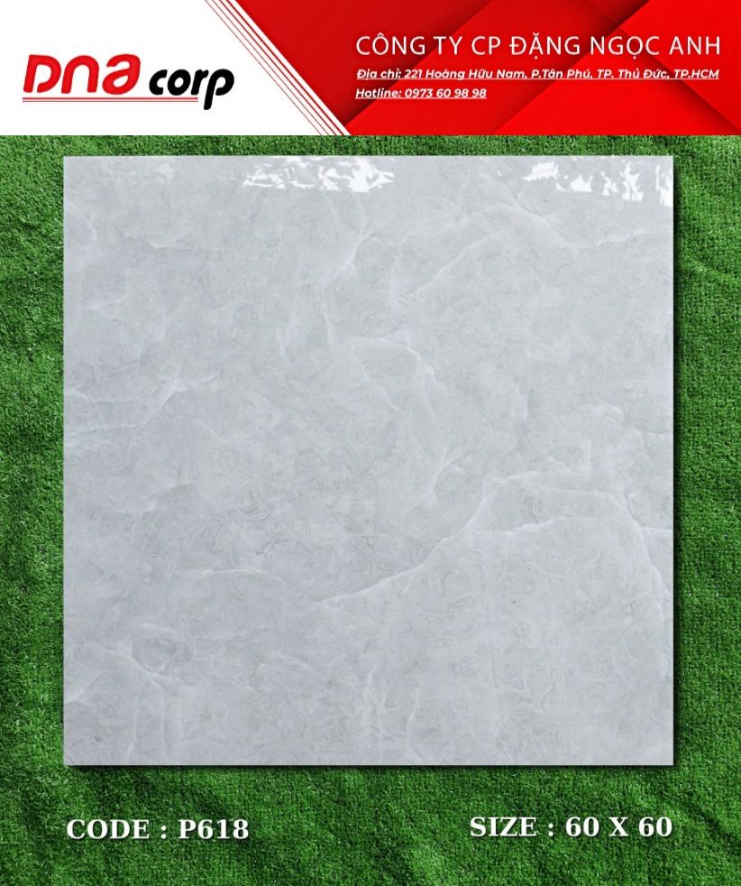 Gạch lát nền P618 – dnacorp