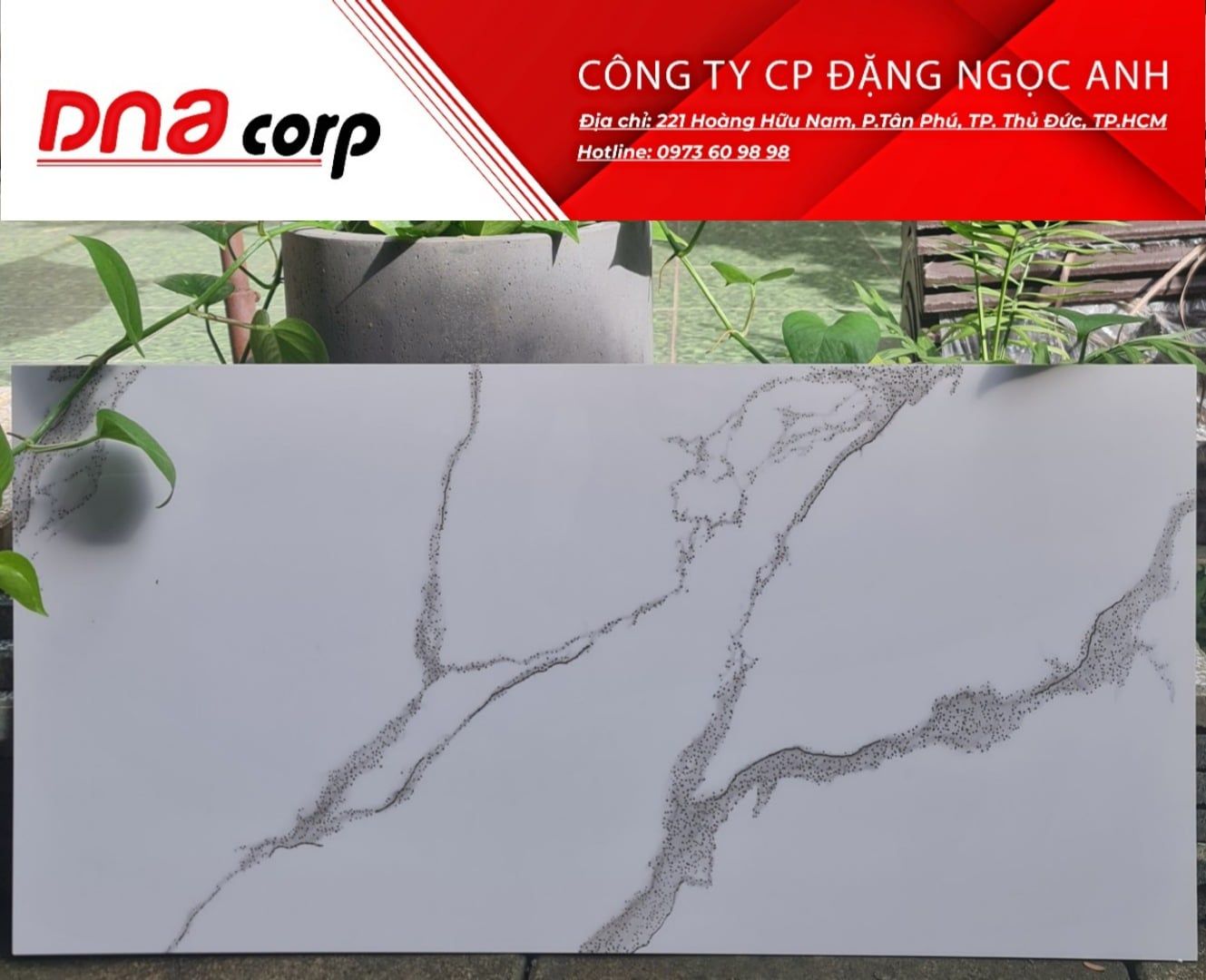 Gạch lát nền 4801A – dnacorp