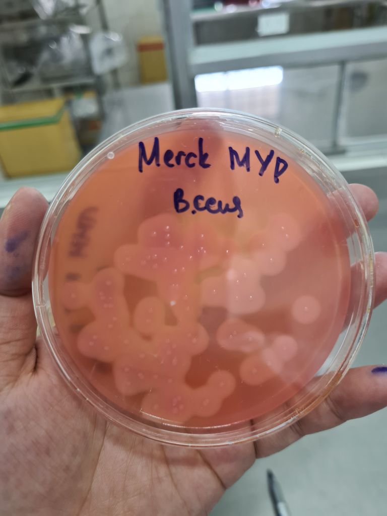 Bacillus Cereus Selective supplement – Công ty TNHH Thương Mại và Dịch ...