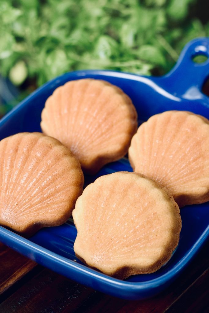 Madeleine (Bánh con sò) Saigonese Baguette