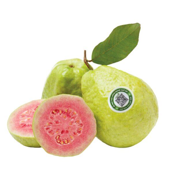 Ổi Ruby hữu cơ Quế Lâm – Cửa hàng thực phẩm hữu cơ Organicfood.vn